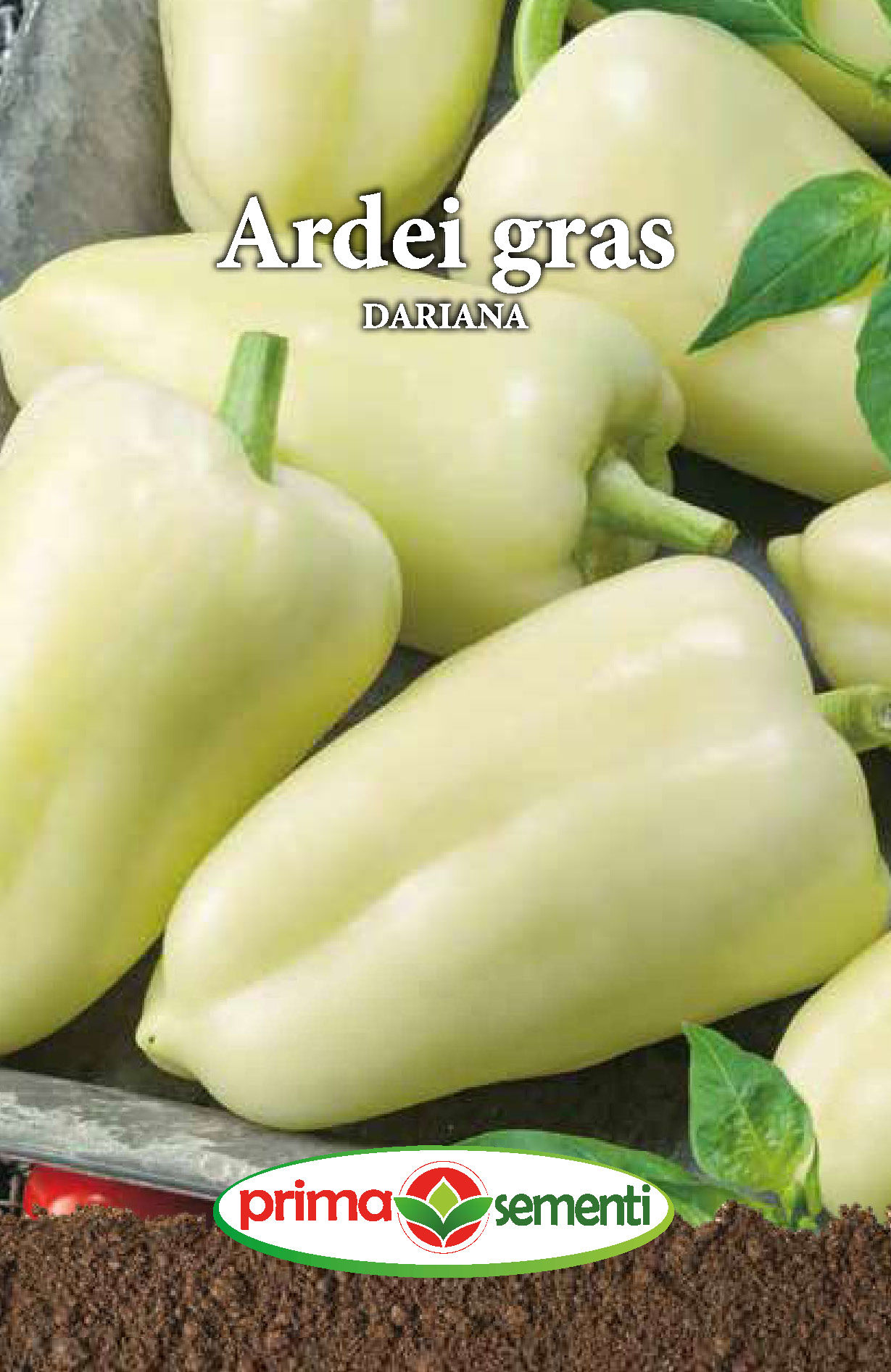 Seminte de legume – Prima Sementi