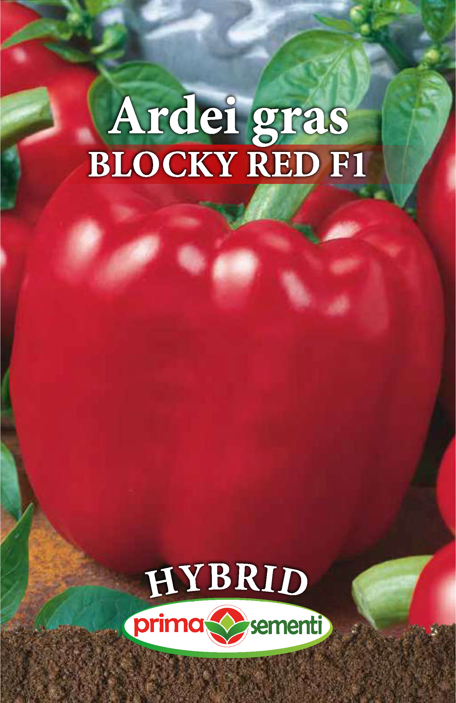 Seminte ardei gras Blocky Red F1 – Prima Sementi